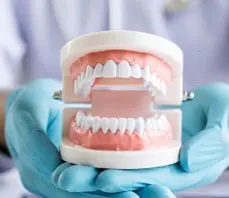 Europe Acrylic Teeth Market Growth, Size, Trends, Demand, Revenue ...