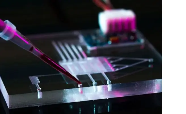 Lab-on-a-Chip Market Size, Share, Growth and Trends 2034