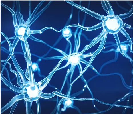 Neural Network Software Market Trends, Size, Growth Drivers, Key Player ...