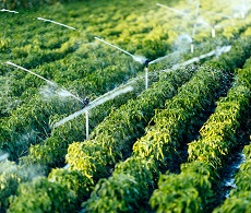 Micro Irrigation System Market Growth, Size, Trends, Revenue, Share, Scope and Future Outlook ...
