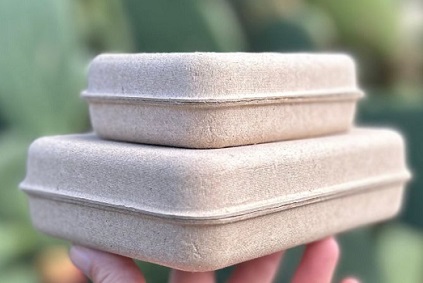 Molded Pulp Packaging Market Growth, Demand, Share, Size, Revenue and ...