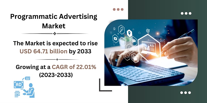 Programmatic Advertising Market Competition, Size, Revenue and Forecast ...