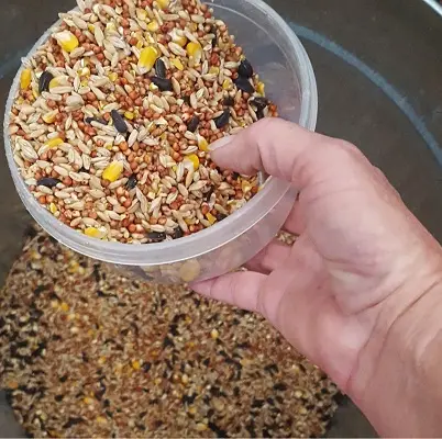 Saudi Arabia Animal Feed Market Growth, Trends, Size, Demand, Revenue ...
